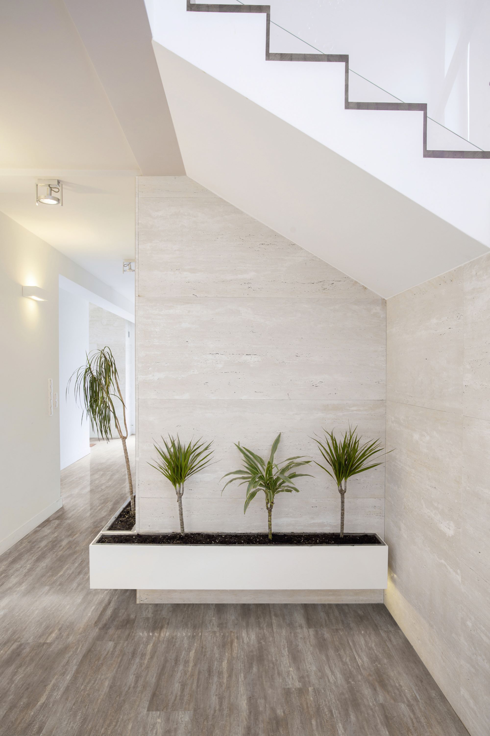 Creation 55 Rigid Acoustic - Amador - Rigid Klick Vinylboden ...