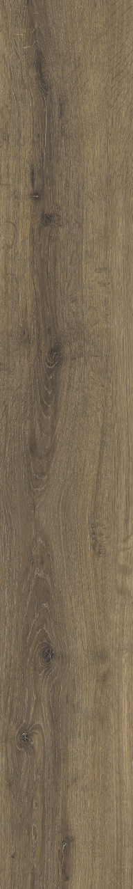 moduleo Roots 55 Glyde Oak 22877 - KLEBE Vinylboden in Holzoptik ...